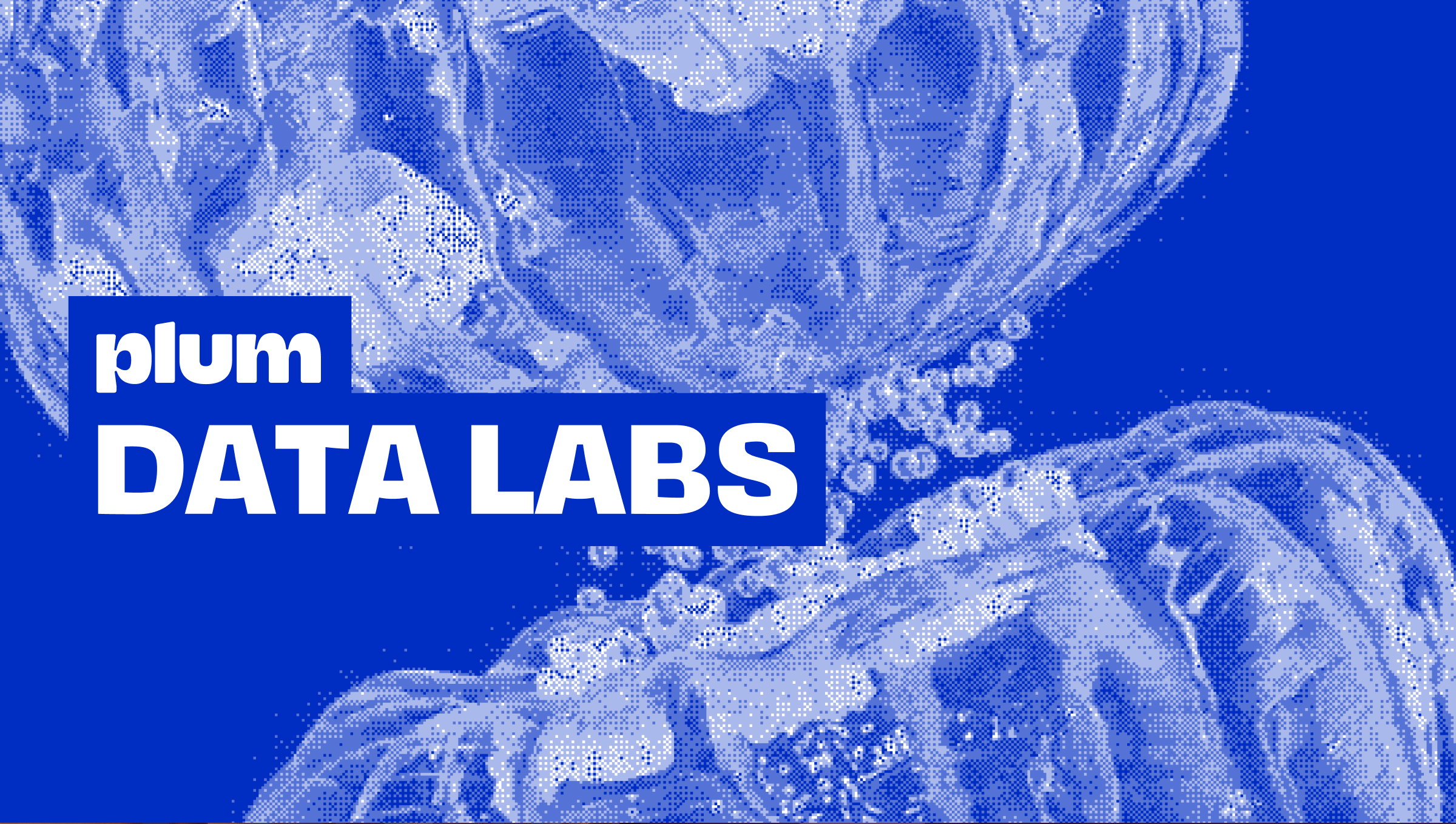 Data Labs by Plum